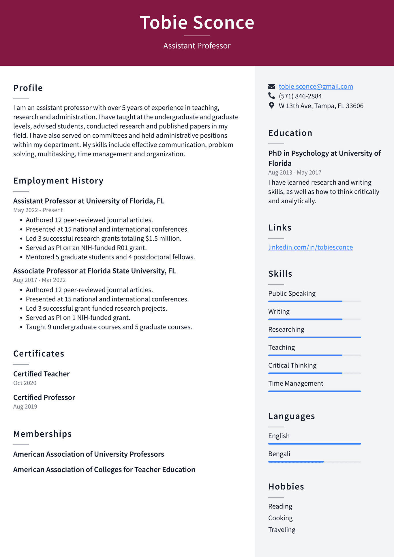 College Professor Resume Example and Writing Guide - ResumeLawyer