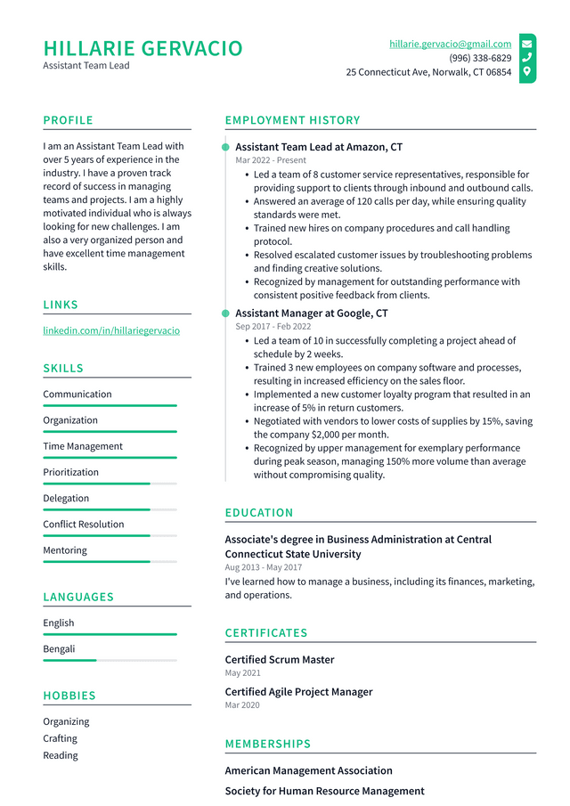 Team Lead Resume Example and Writing Guide - ResumeLawyer