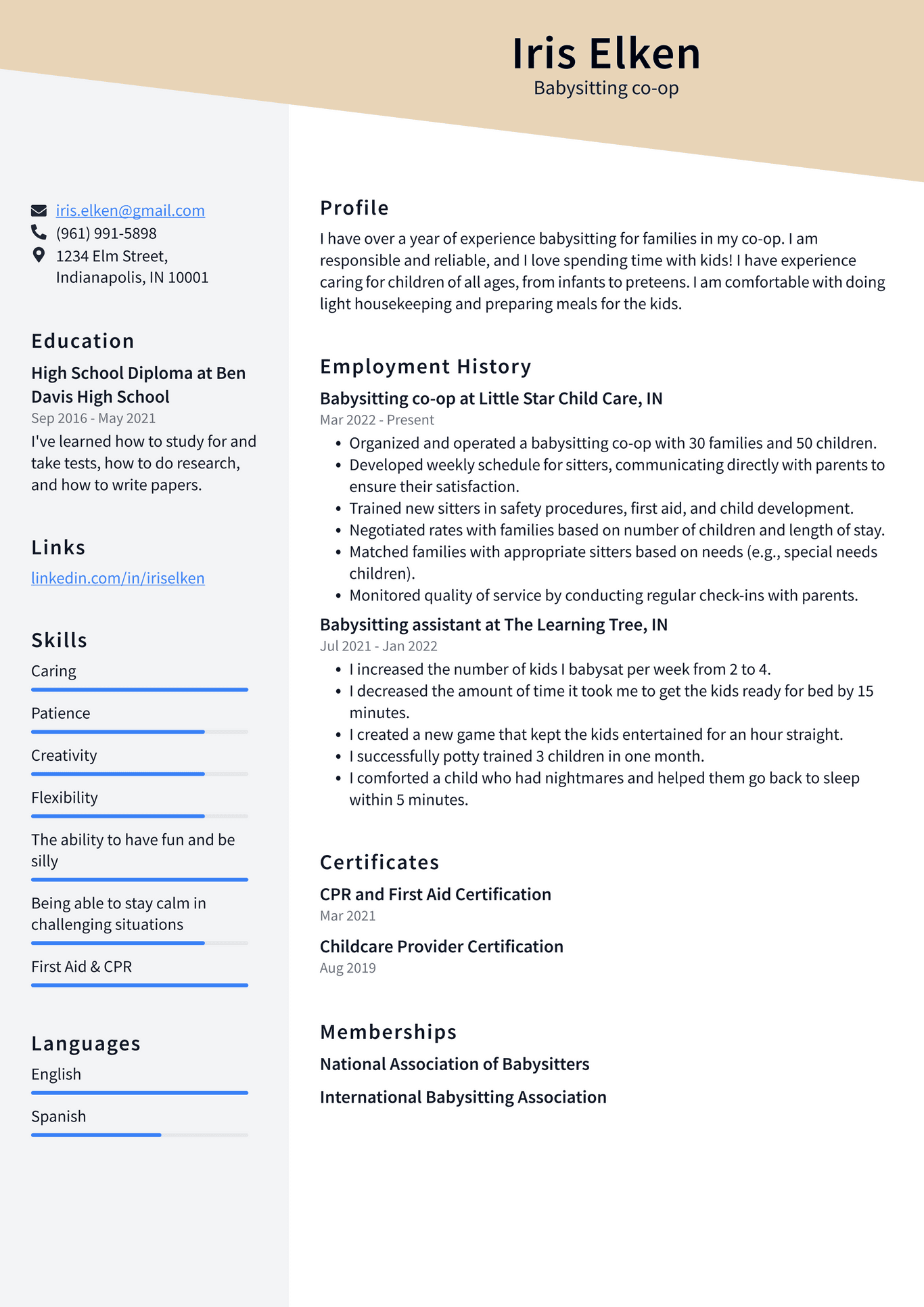 Babysitter Resume Example and Writing Guide - ResumeLawyer