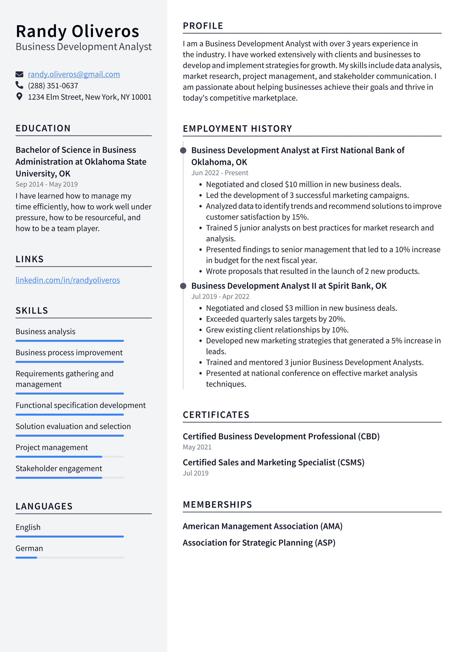 Business Development Manager Resume Example and Writing Guide ...