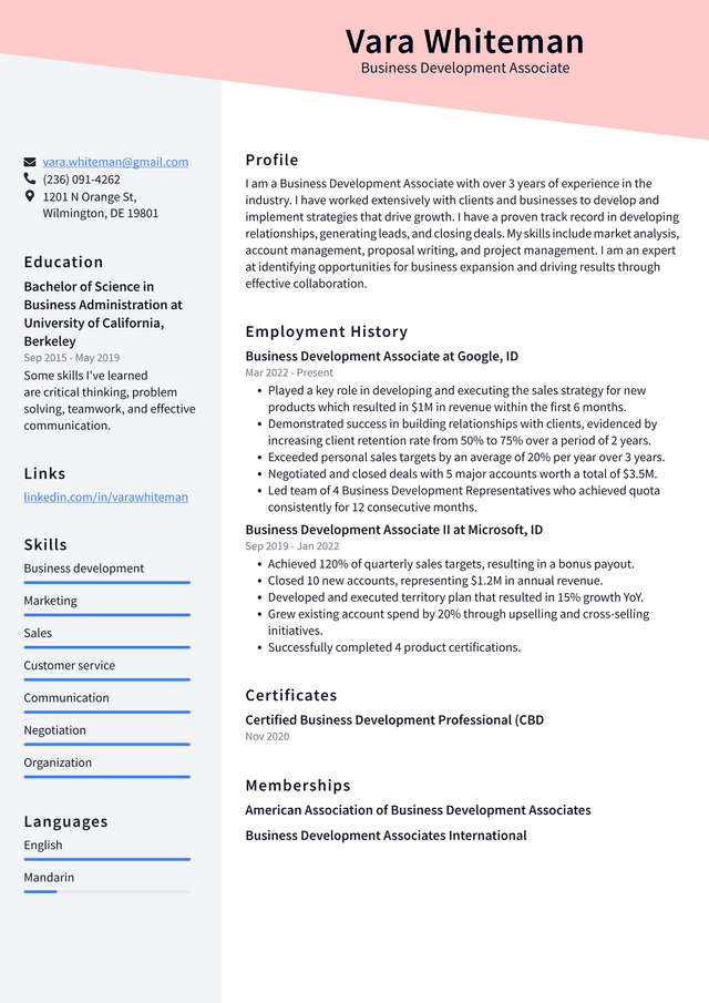 Business Development Manager Resume Example and Writing Guide ...