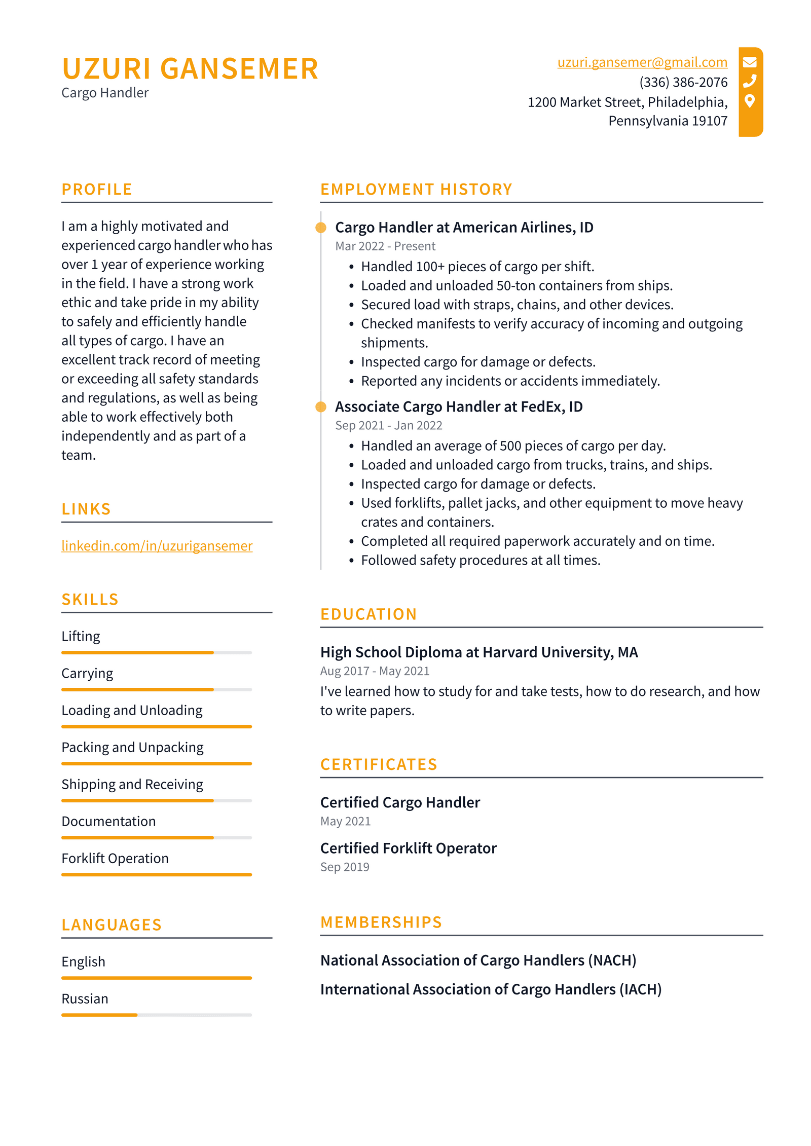 Package Handler Resume Example and Writing Guide - ResumeLawyer