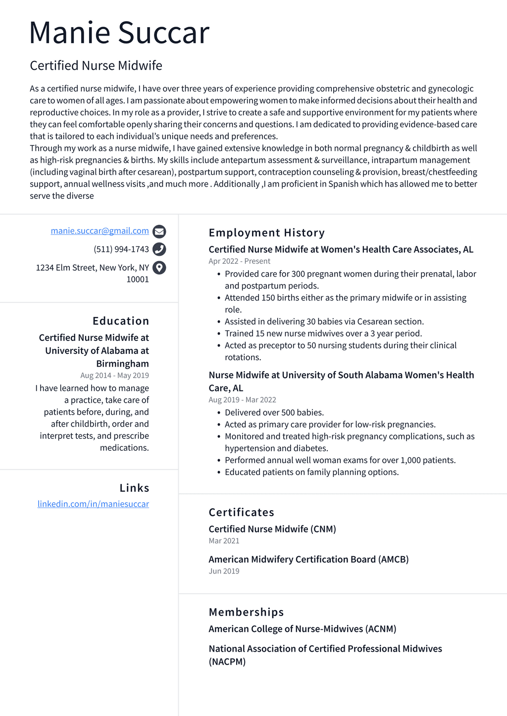 Nursing Home Resume Example and Writing Guide - ResumeLawyer
