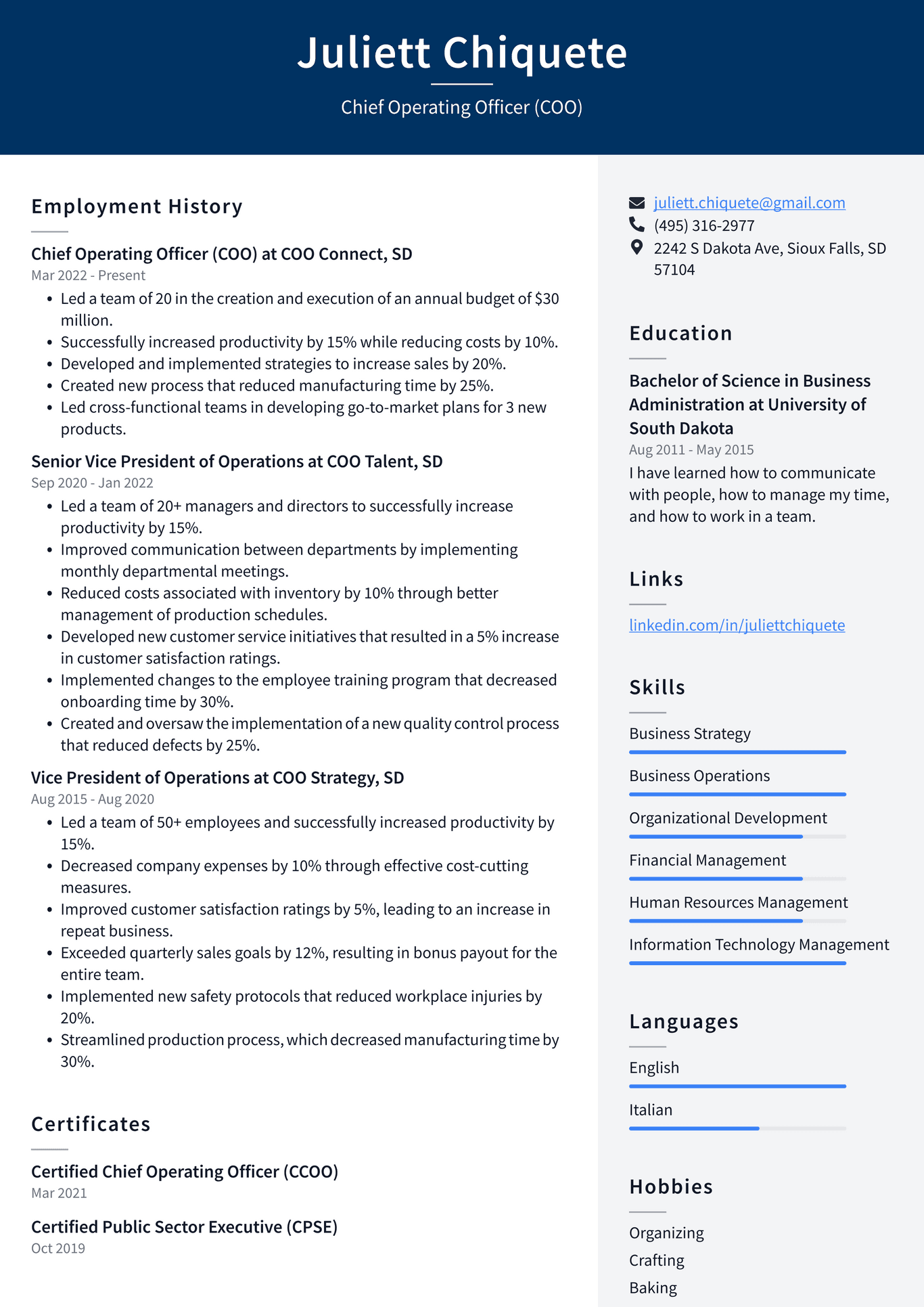Executive Resume Example and Writing Guide - ResumeLawyer