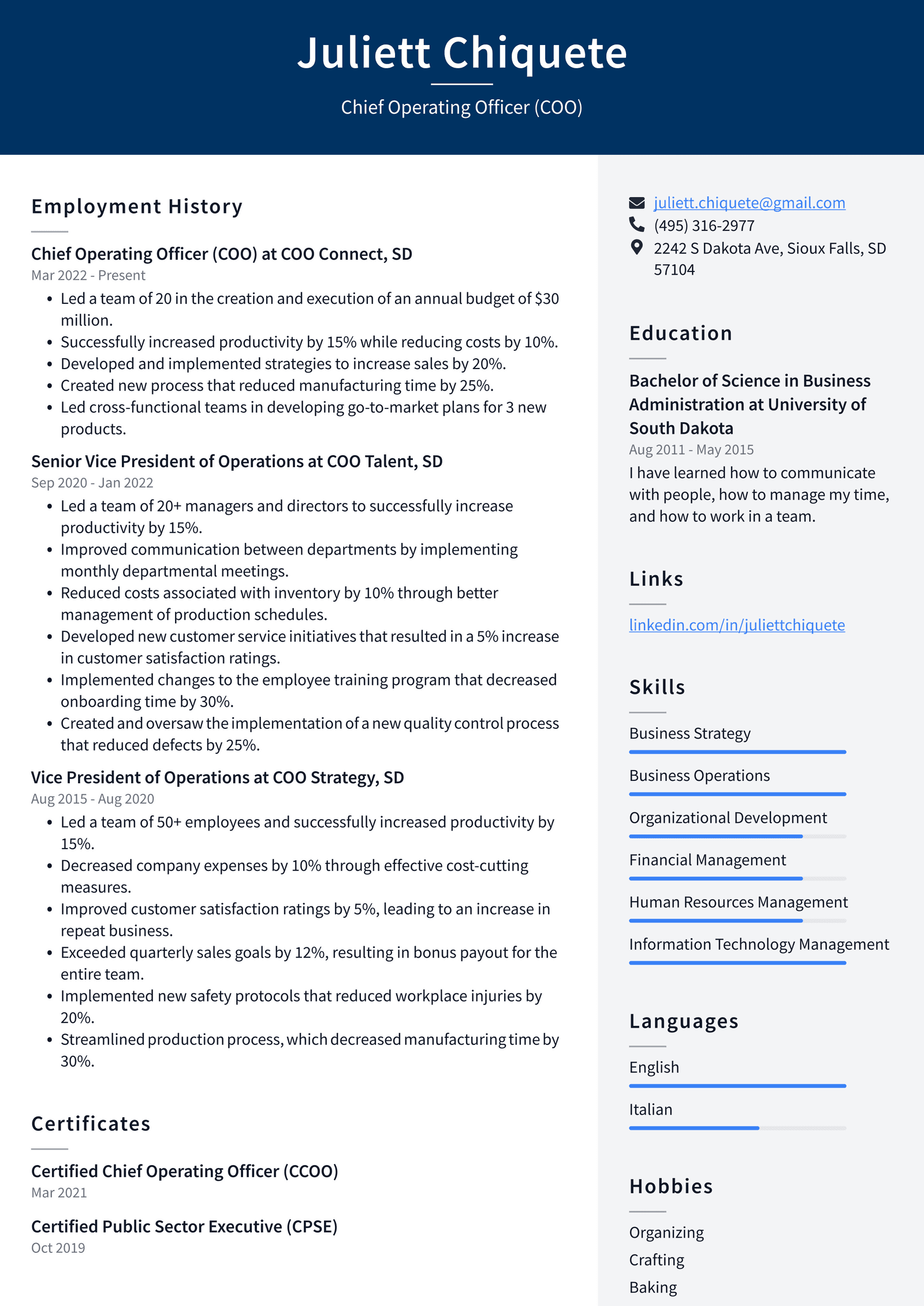 Executive Resume Example and Writing Guide - ResumeLawyer