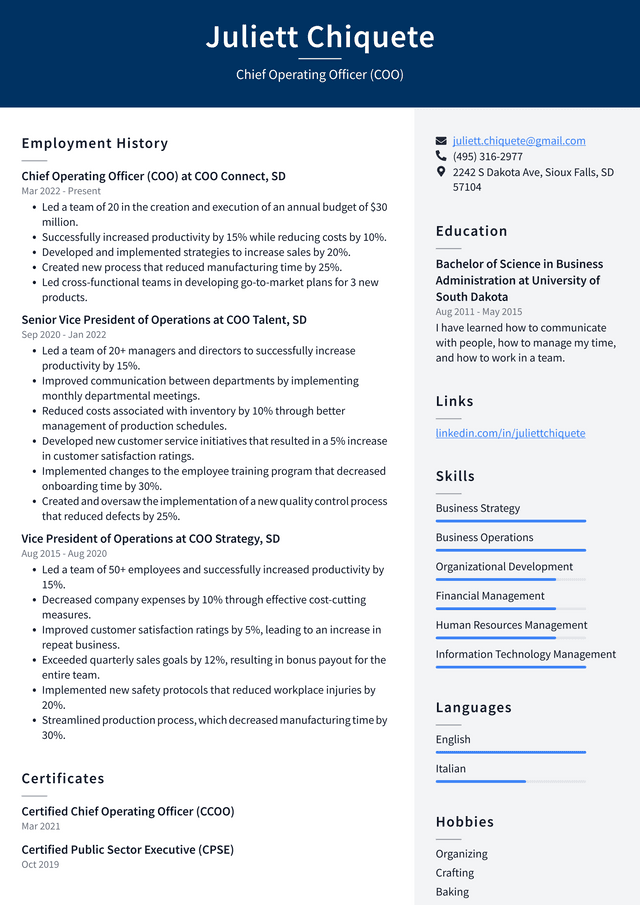 Executive Resume Example and Writing Guide - ResumeLawyer