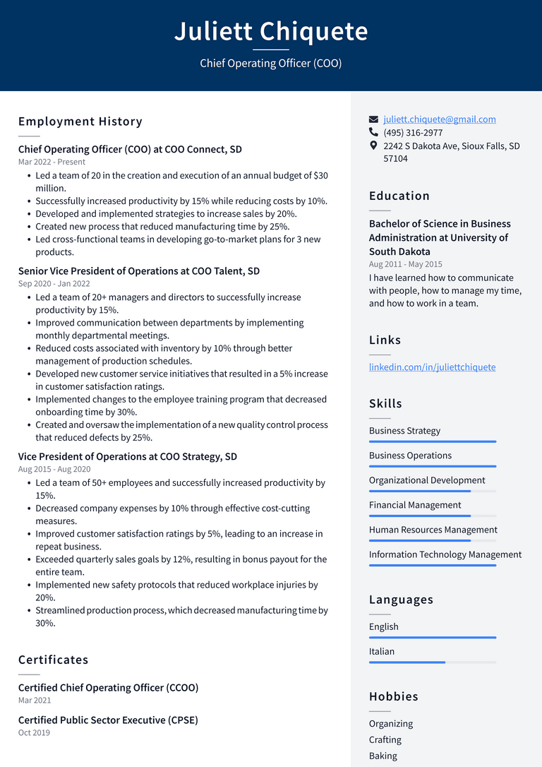 Executive Resume Example and Writing Guide - ResumeLawyer