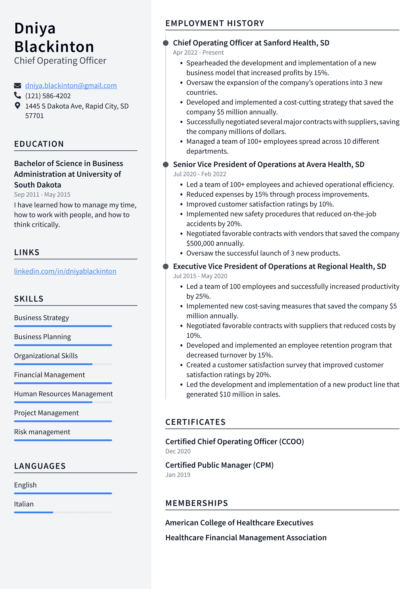 CEO Resume Example and Writing Guide - ResumeLawyer