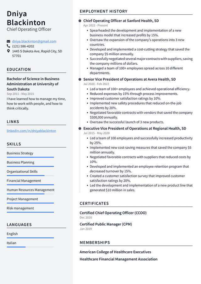 CEO Resume Example and Writing Guide - ResumeLawyer