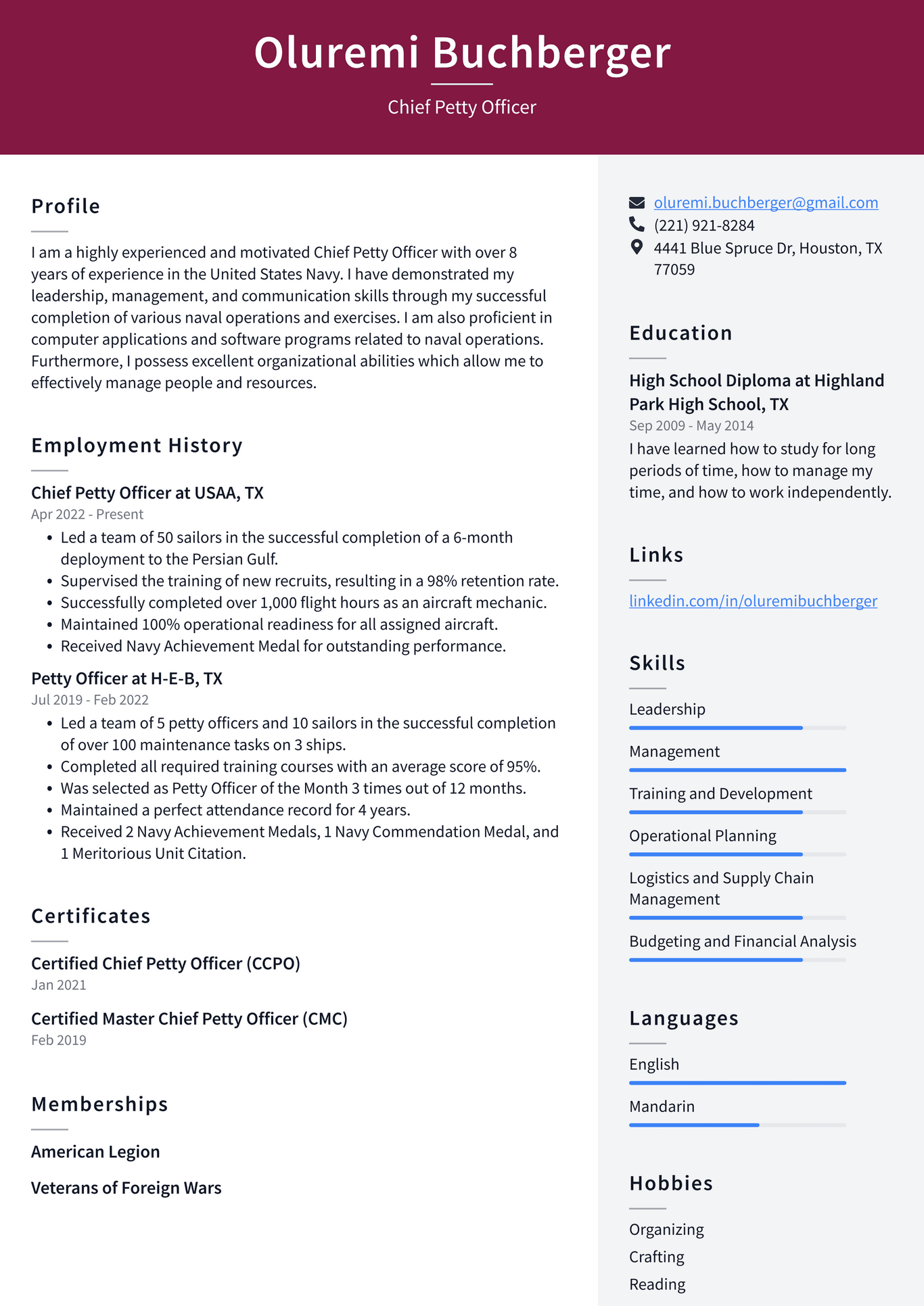 Seaman Resume Example and Writing Guide - ResumeLawyer