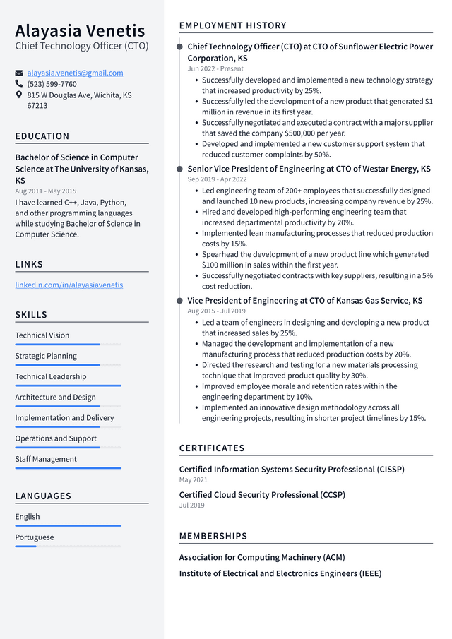 IT Manager Resume Example and Writing Guide - ResumeLawyer