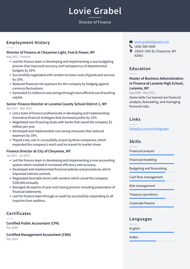 Finance Director Resume Example and Writing Guide - ResumeLawyer