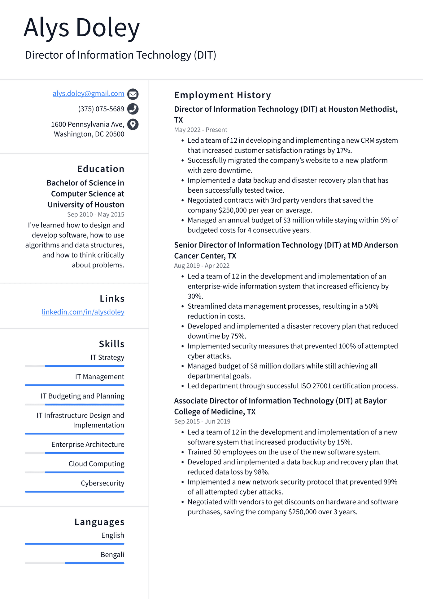 IT Director Resume Example and Writing Guide - ResumeLawyer