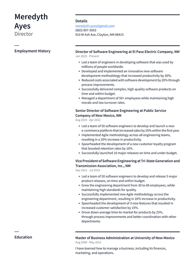 Managing Director Resume Example and Writing Guide - ResumeLawyer
