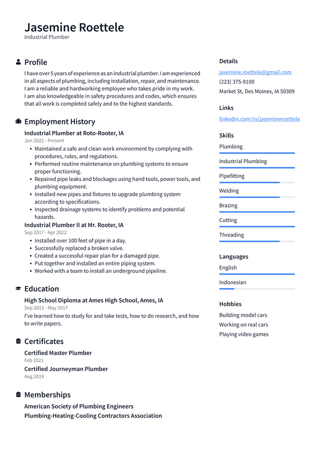 Plumber Resume Example and Writing Guide - ResumeLawyer