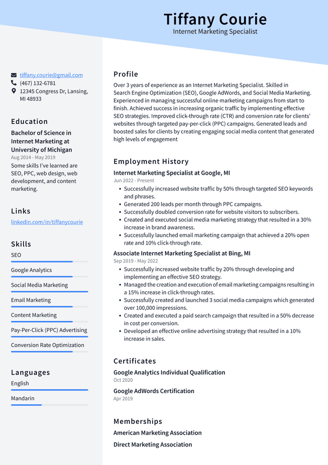 SEO Resume Example and Writing Guide - ResumeLawyer