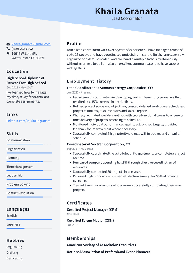 Team Lead Resume Example and Writing Guide - ResumeLawyer