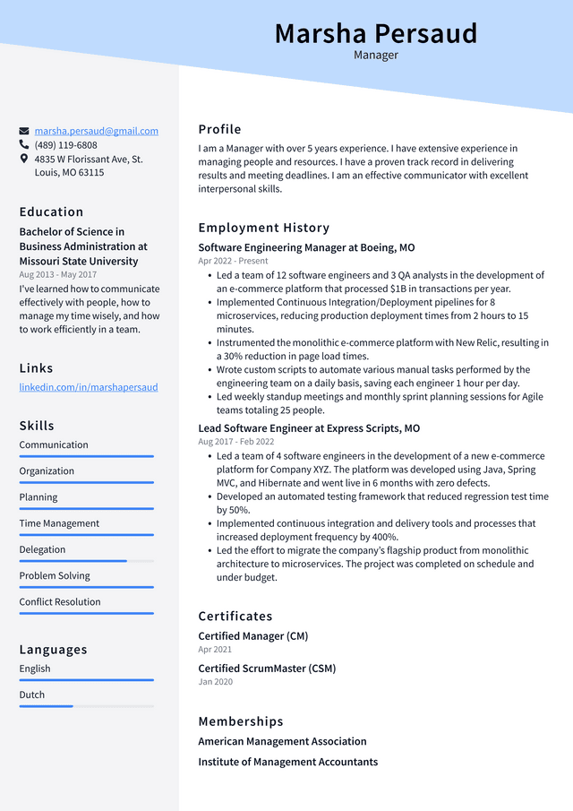 Managing Director Resume Example and Writing Guide - ResumeLawyer