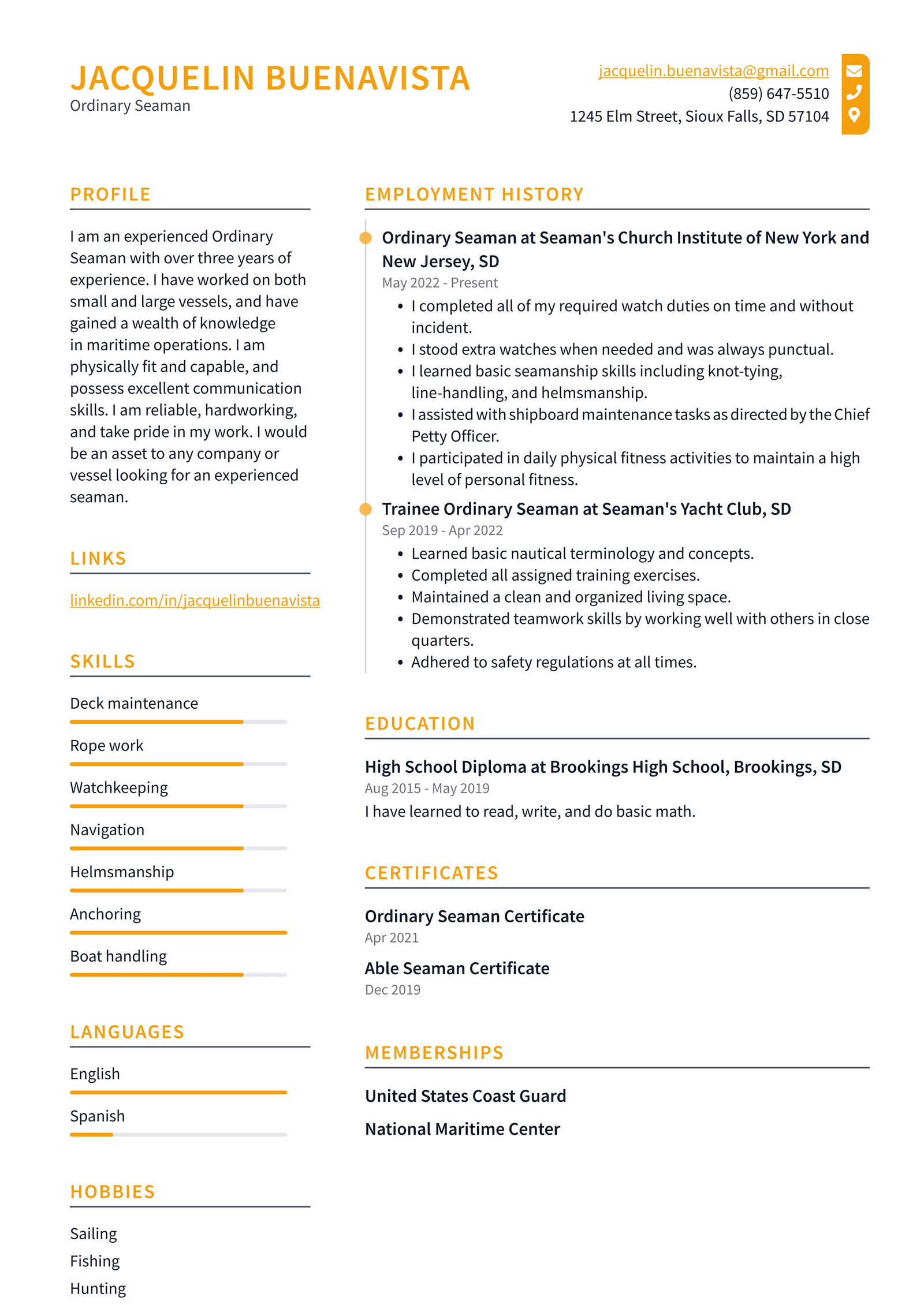 Seaman Resume Example and Writing Guide - ResumeLawyer