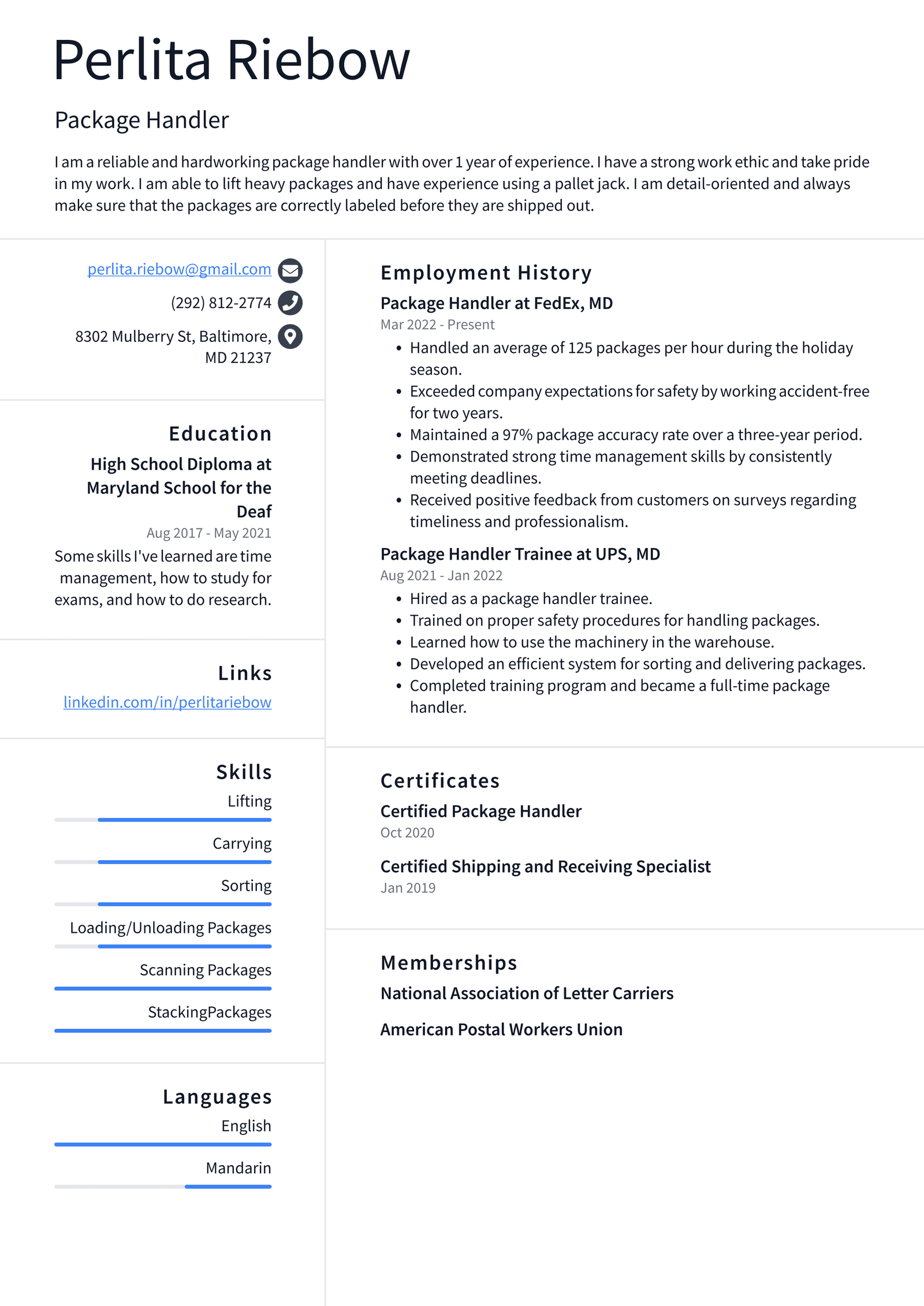 Transport & Logistics Resume Example and Writing Guide - ResumeLawyer