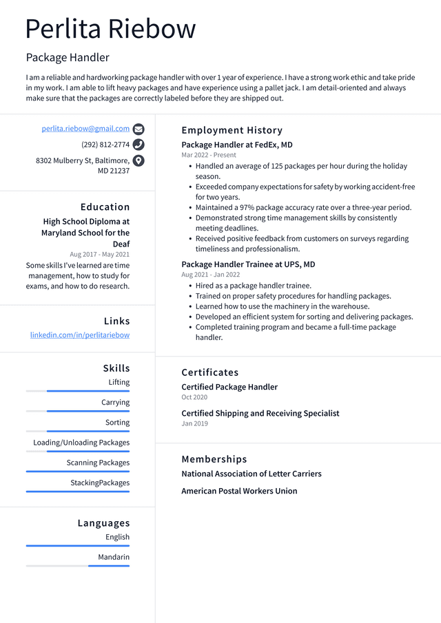 Transport & Logistics Resume Example and Writing Guide - ResumeLawyer