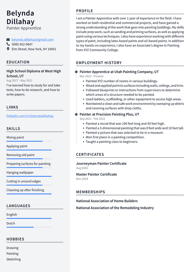 Painter Resume Example and Writing Guide - ResumeLawyer