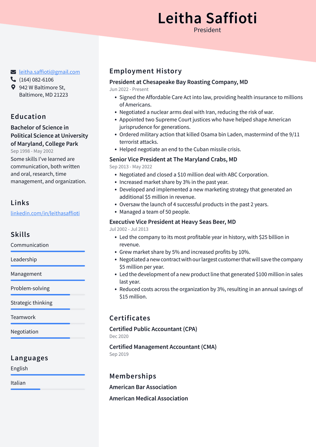CEO Resume Example and Writing Guide - ResumeLawyer