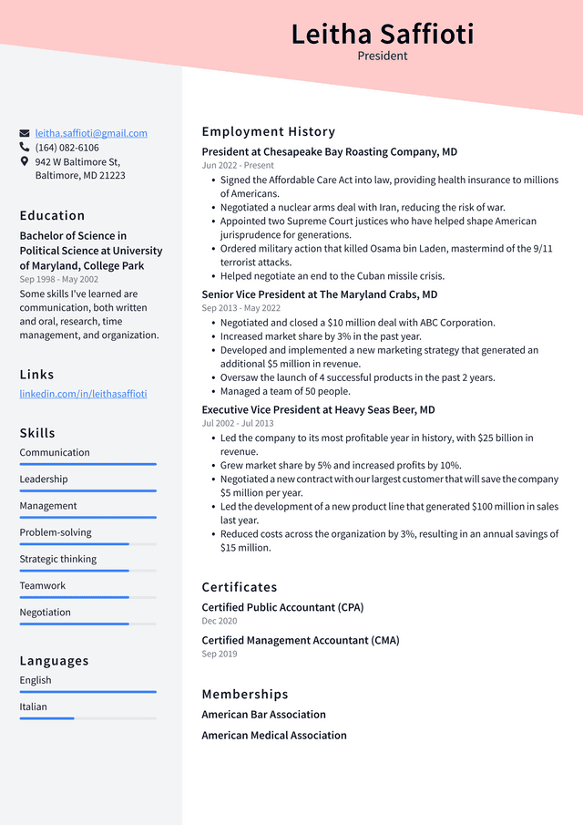 CEO Resume Example and Writing Guide - ResumeLawyer